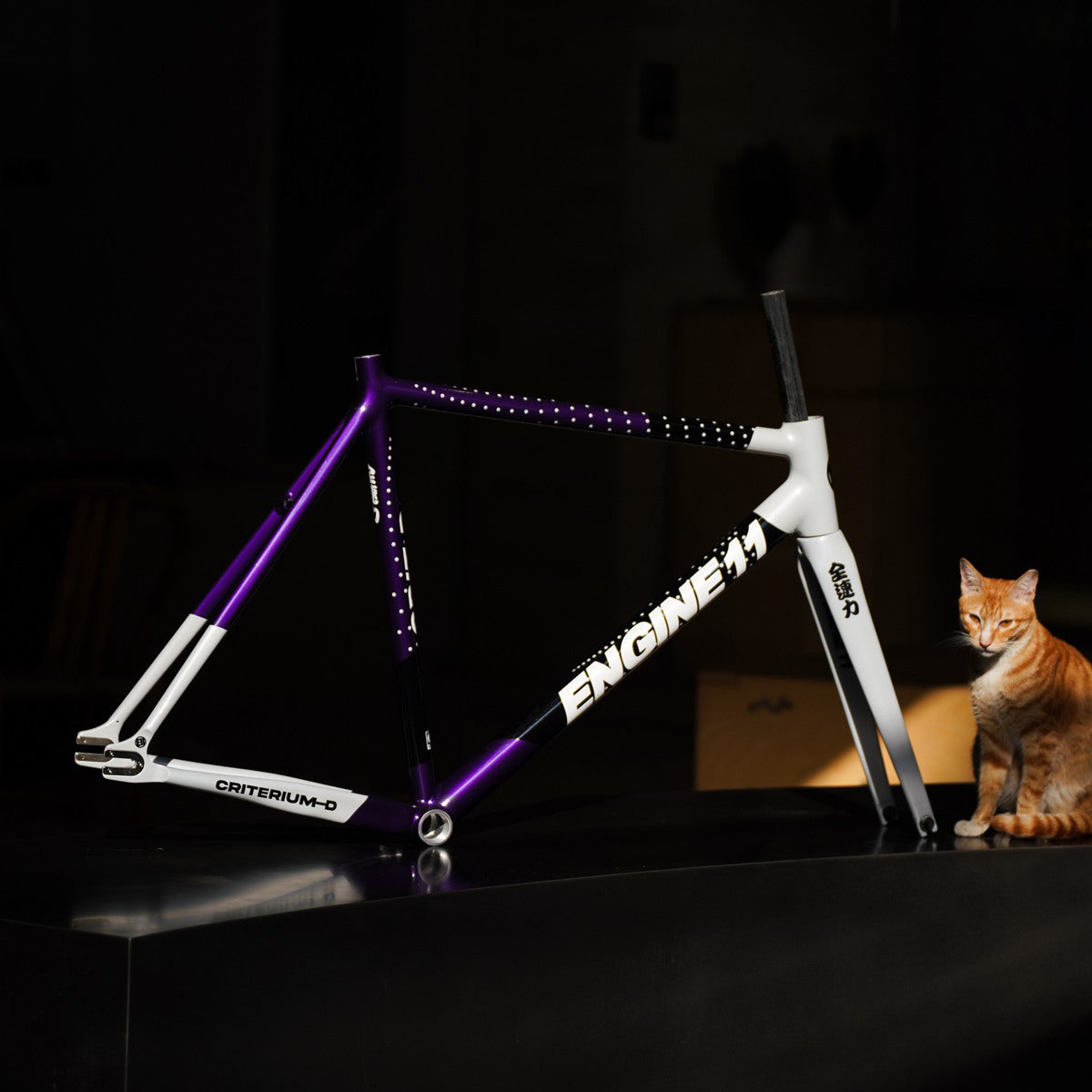 Engine11 2025 Crit-D Fixed Frame – PIZZBIKES